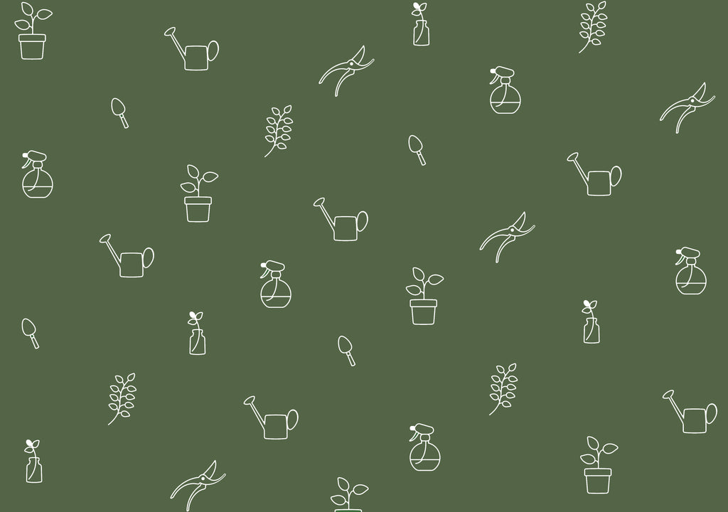 Offshoot | Botanical Wares | Propagation – Offshoot Botanica