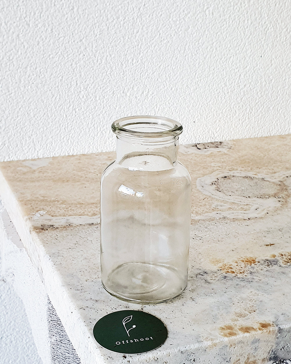 Offshoot | Vases + Vessels | Offshoot | Propagation Vase Apocathary ...