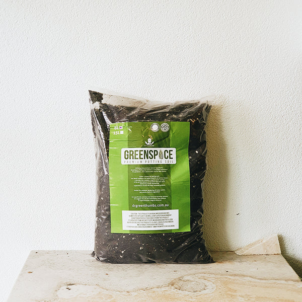 Offshoot | Collections | Shop All – Offshoot Botanica